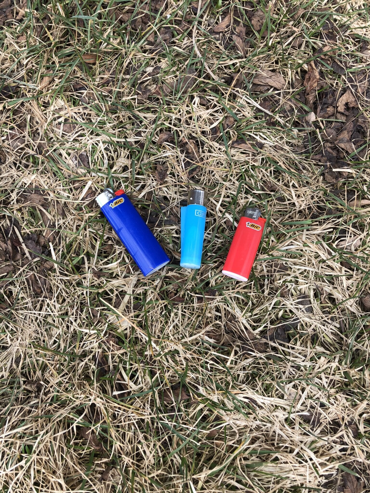 Alice Bodnar, Author at AG