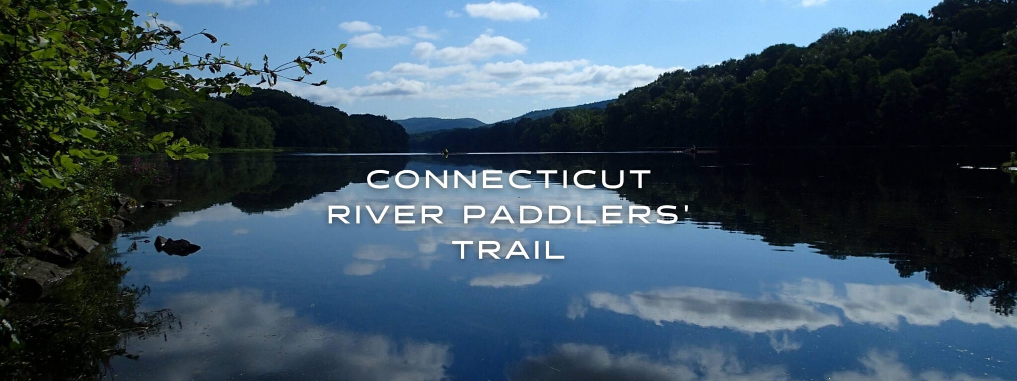 Alice Bodnar, Author at AG